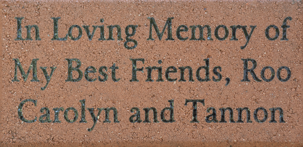 In Loving Memory of My Best Friends, Roo Carolyn and Tannon | School of ...