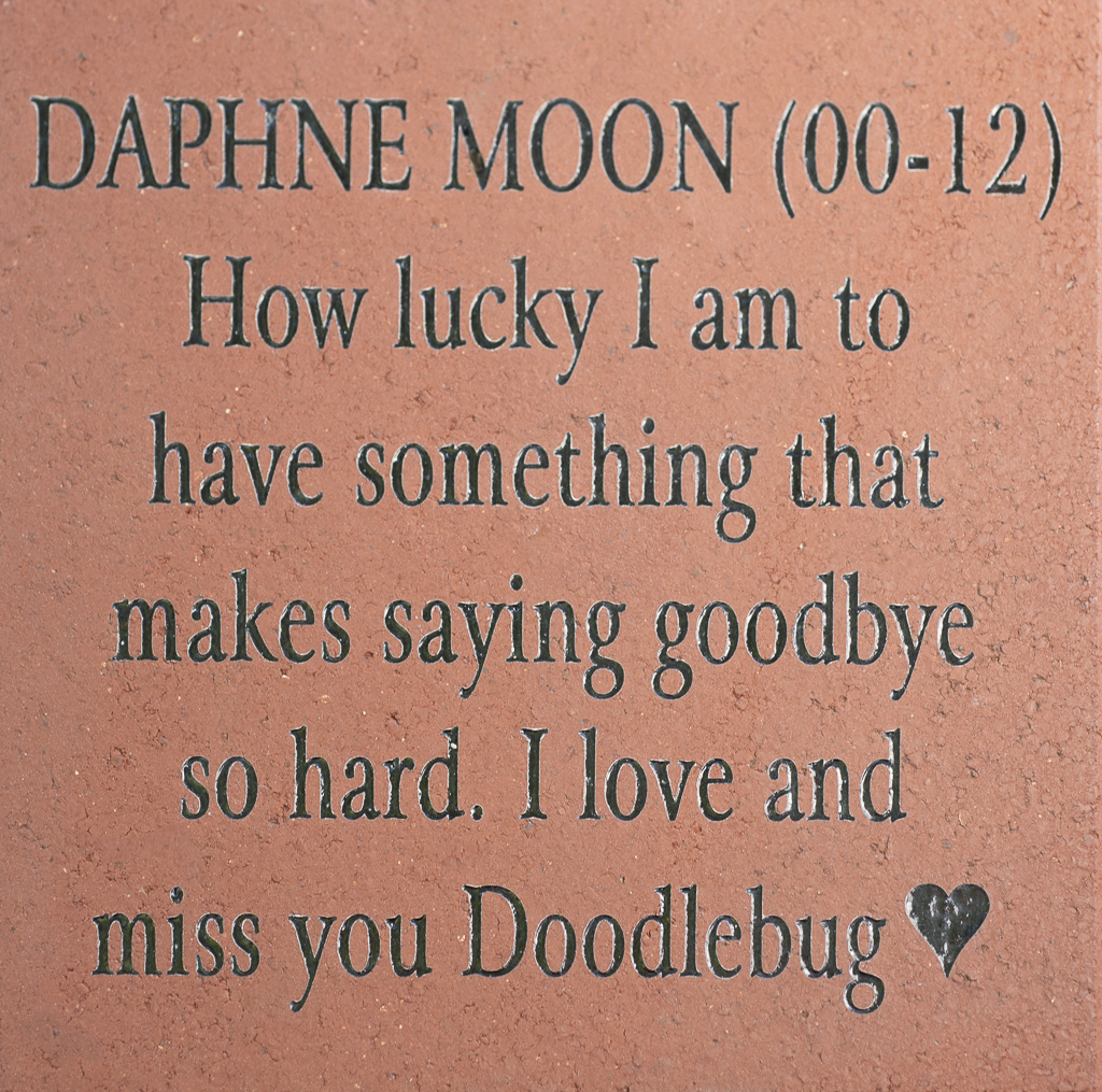 DAPHNE MOON (00-12) How lucky I am to have something that makes saying ...