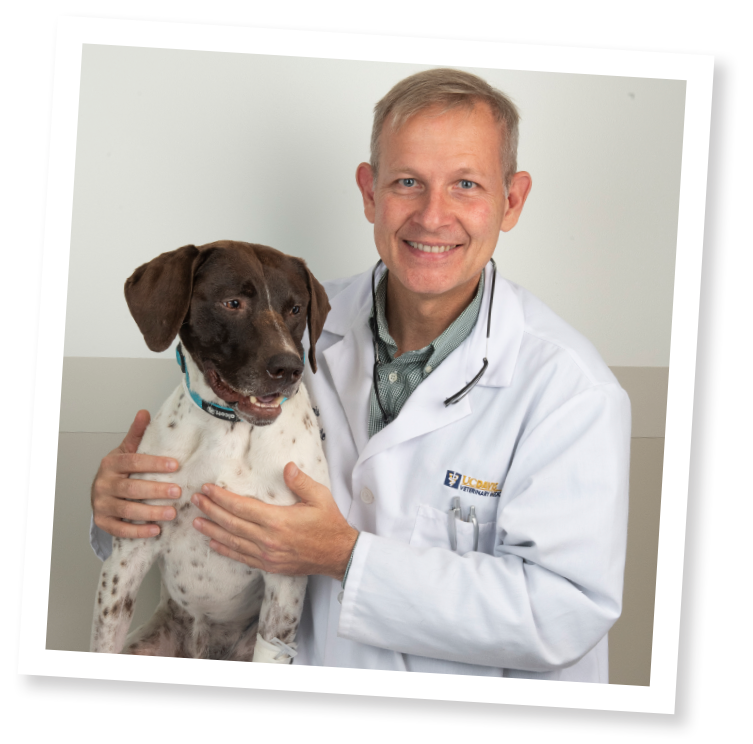 Case Study: Dexter | School of Veterinary Medicine