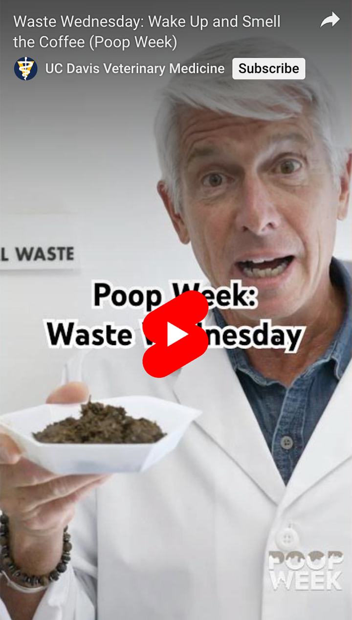 A Minute with Mark | School of Veterinary Medicine