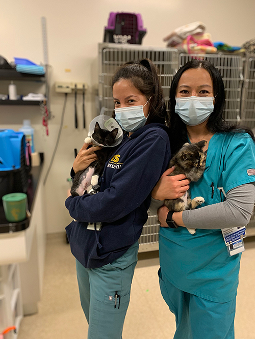 Envision Your Professional Future at UC Davis | School of Veterinary ...