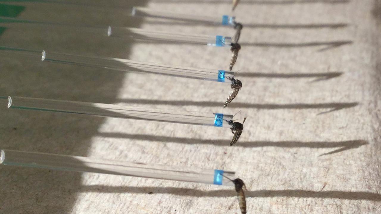 UC Davis Receives $10M for Pacific Southwest Center of Excellence ...